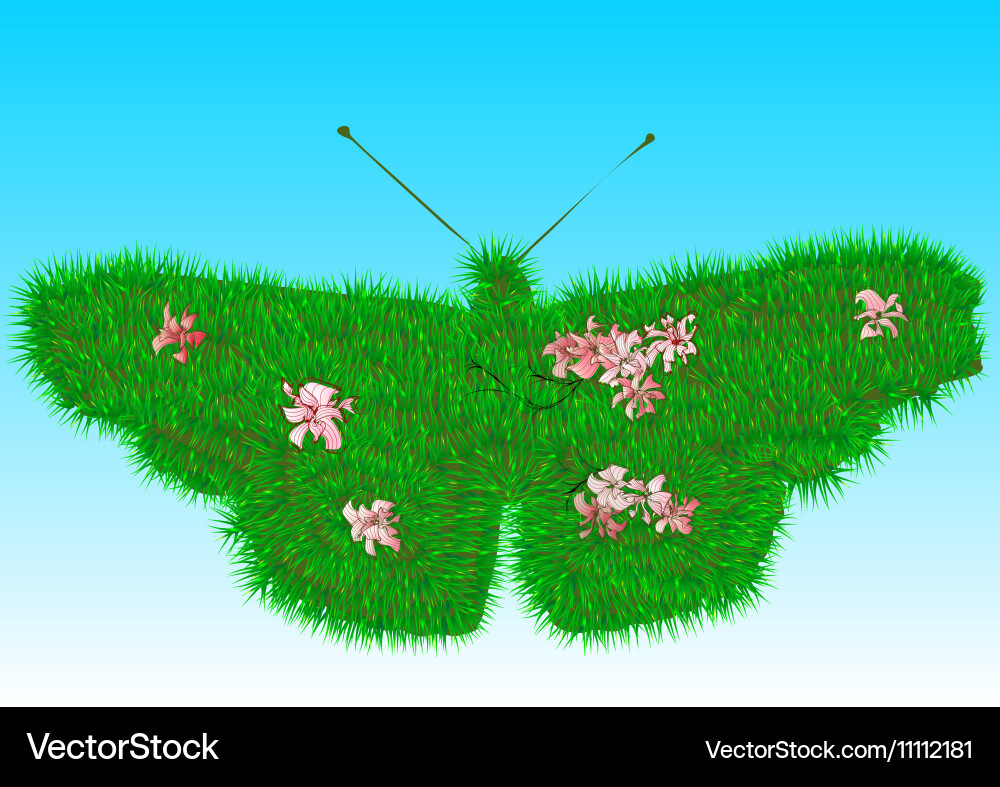 Lawn Royalty Free Vector Image - VectorStock