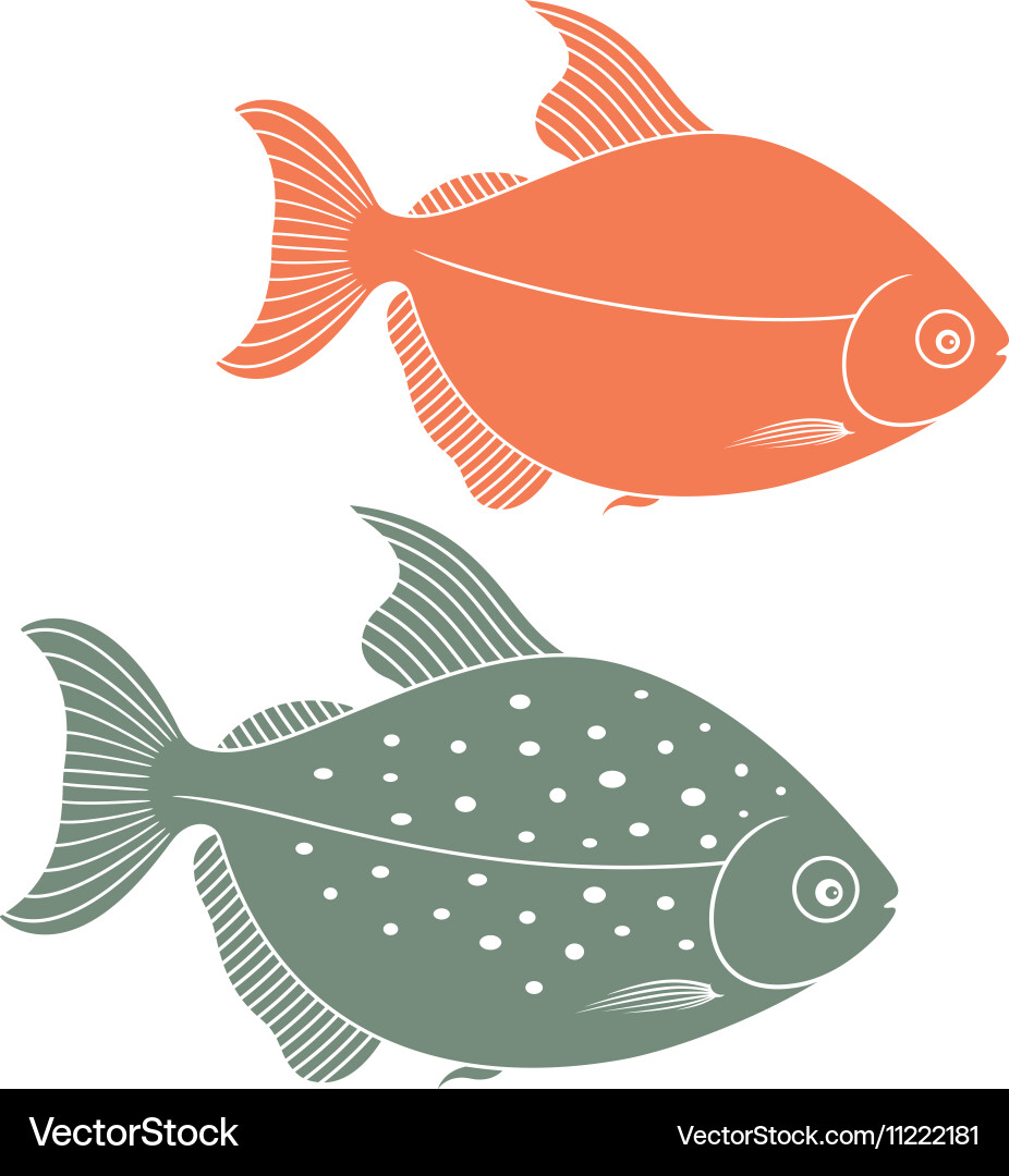 Metynnis maculatus piranha Royalty Free Vector Image