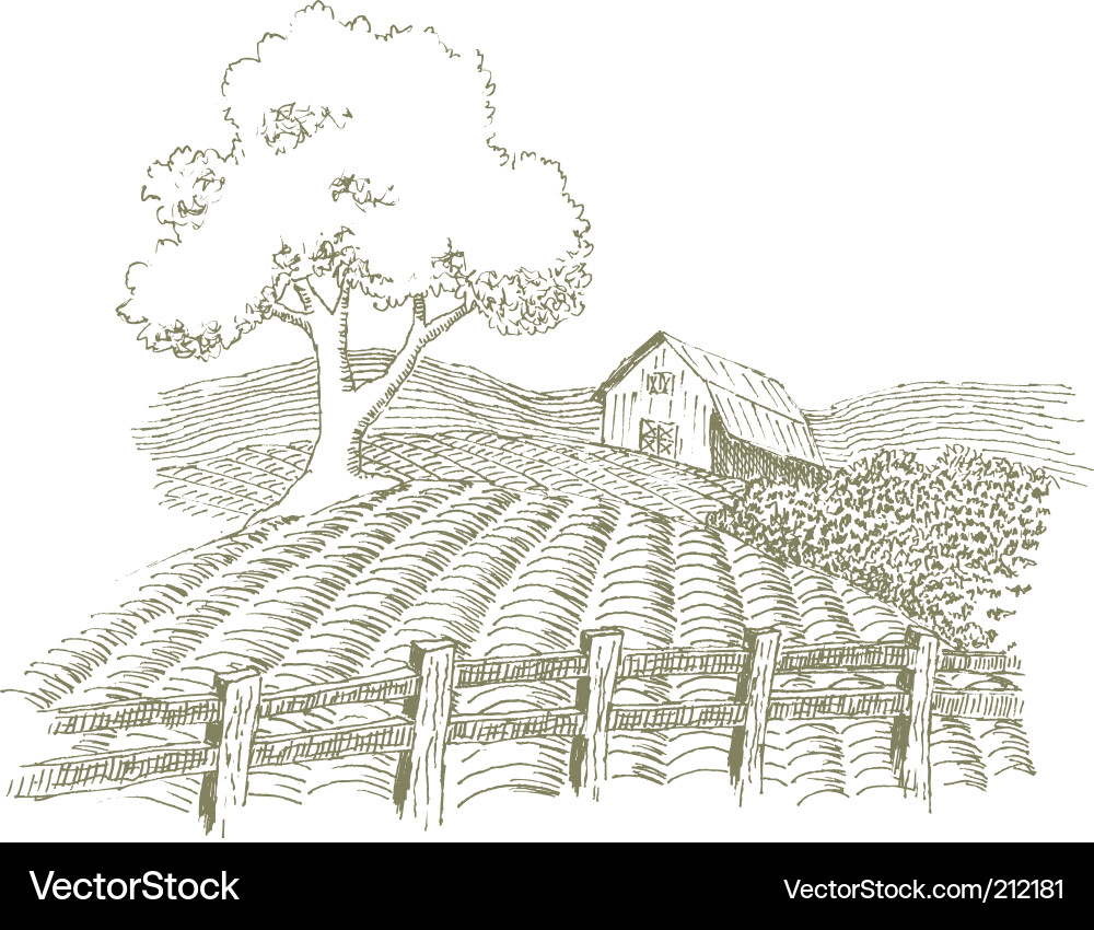 Rustic Farm Sketch Royalty Free Vector Image - VectorStock