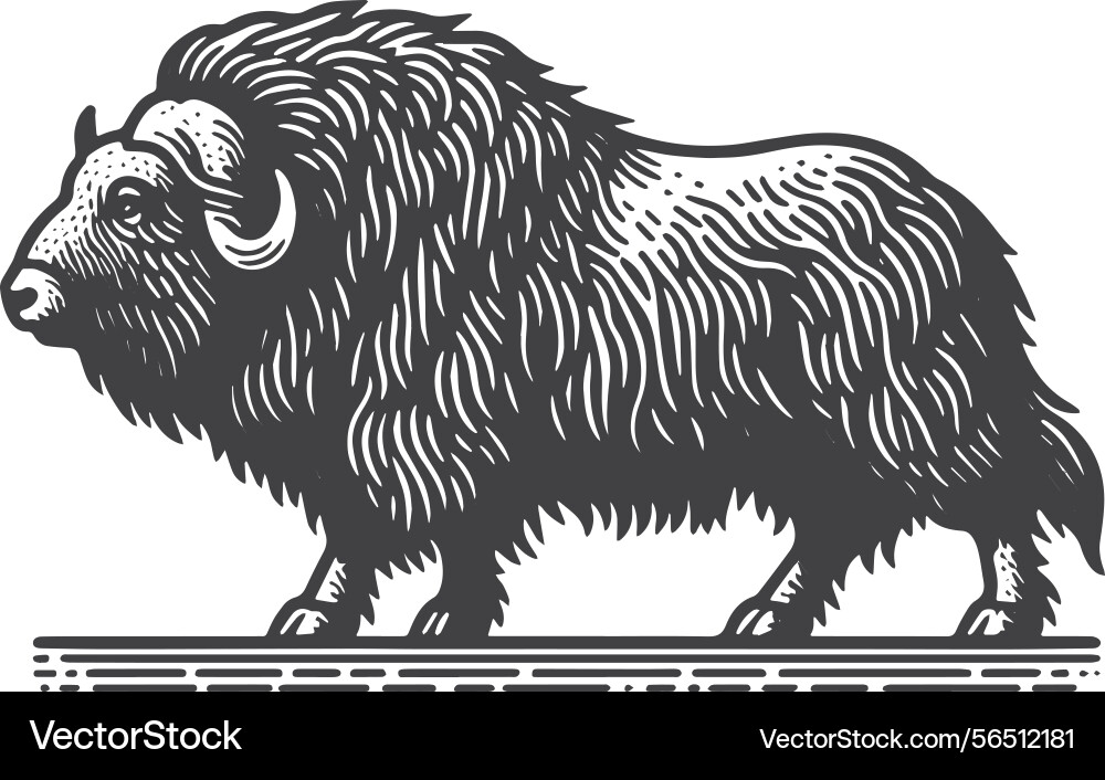 Simple musk ox side view icon design vintage Vector Image