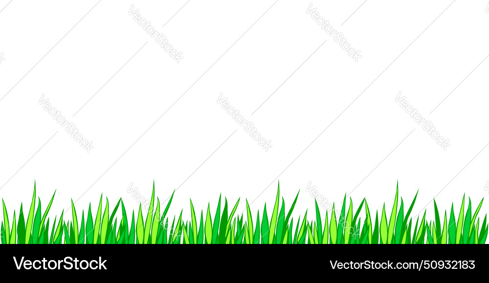Green grass isolated on white background Vector Image