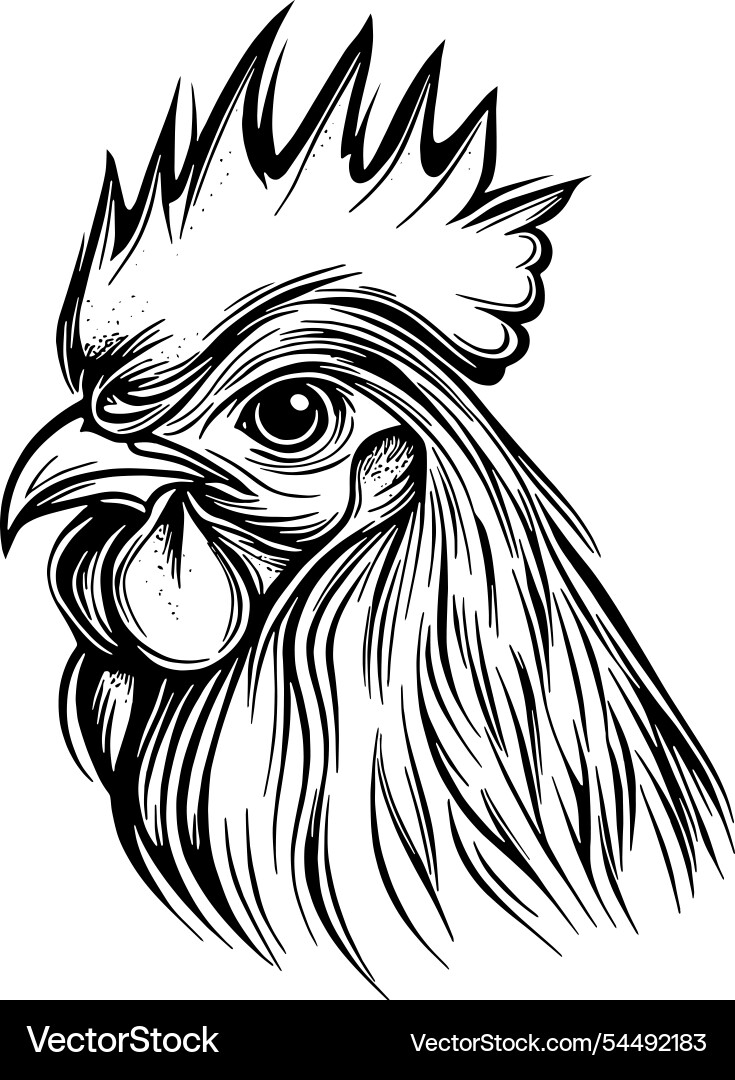 Head of a rooster Royalty Free Vector Image - VectorStock