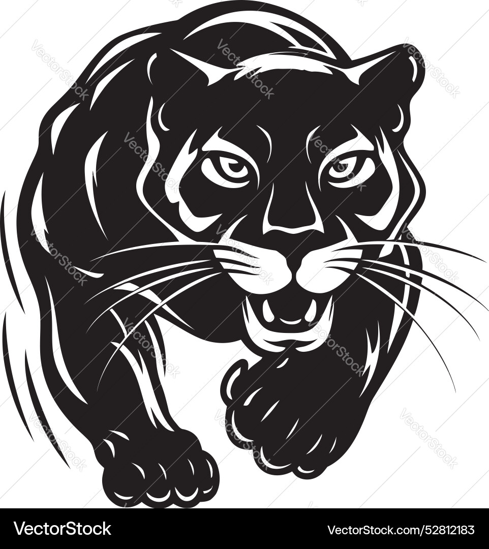 Panther pursuit logo emblem midnight marauder Vector Image