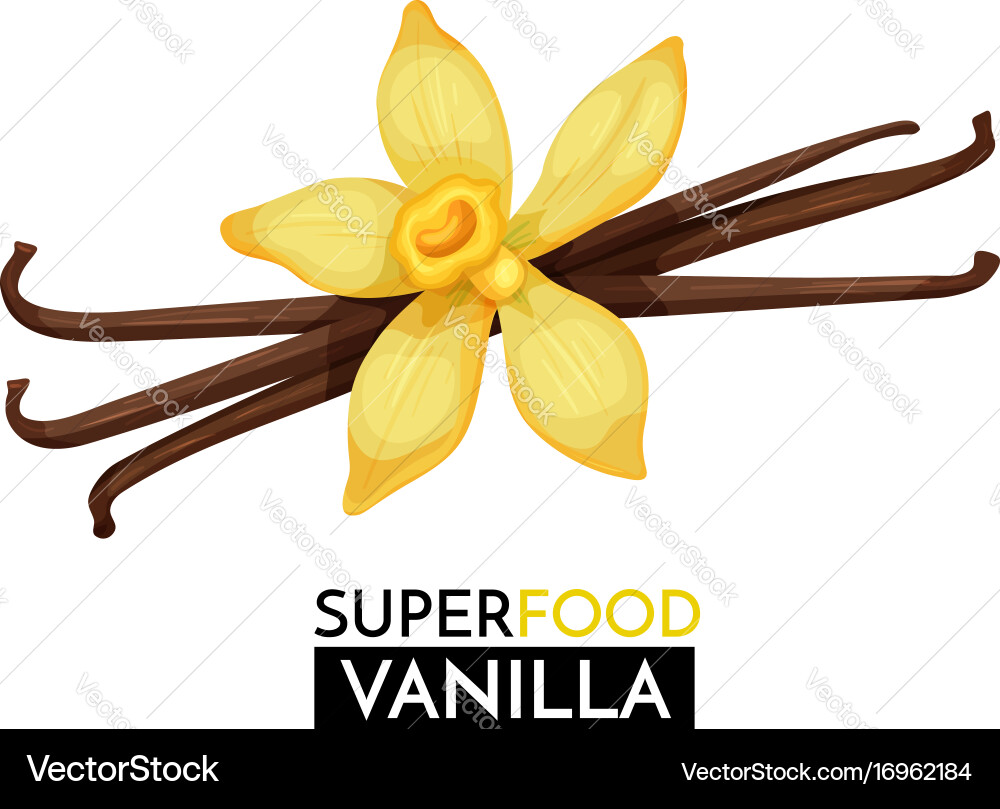 Vanilla icon Royalty Free Vector Image - VectorStock