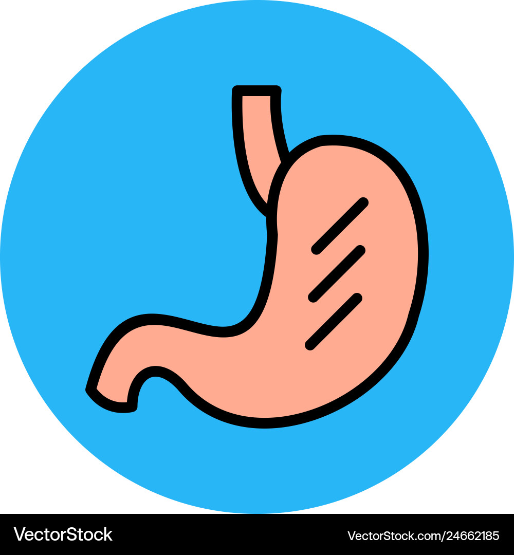 Stomach icon Royalty Free Vector Image - VectorStock