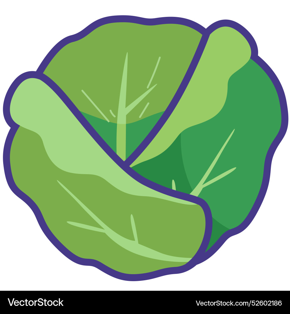 Cabbage vegetable cartoon icon Royalty Free Vector Image