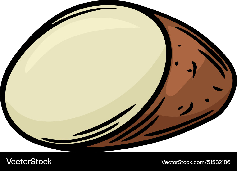 Potato half line drawing isolated on white Vector Image