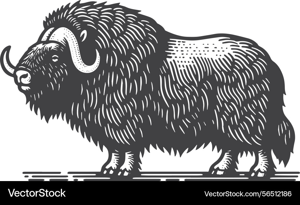 Simple musk ox side view icon design vintage Vector Image
