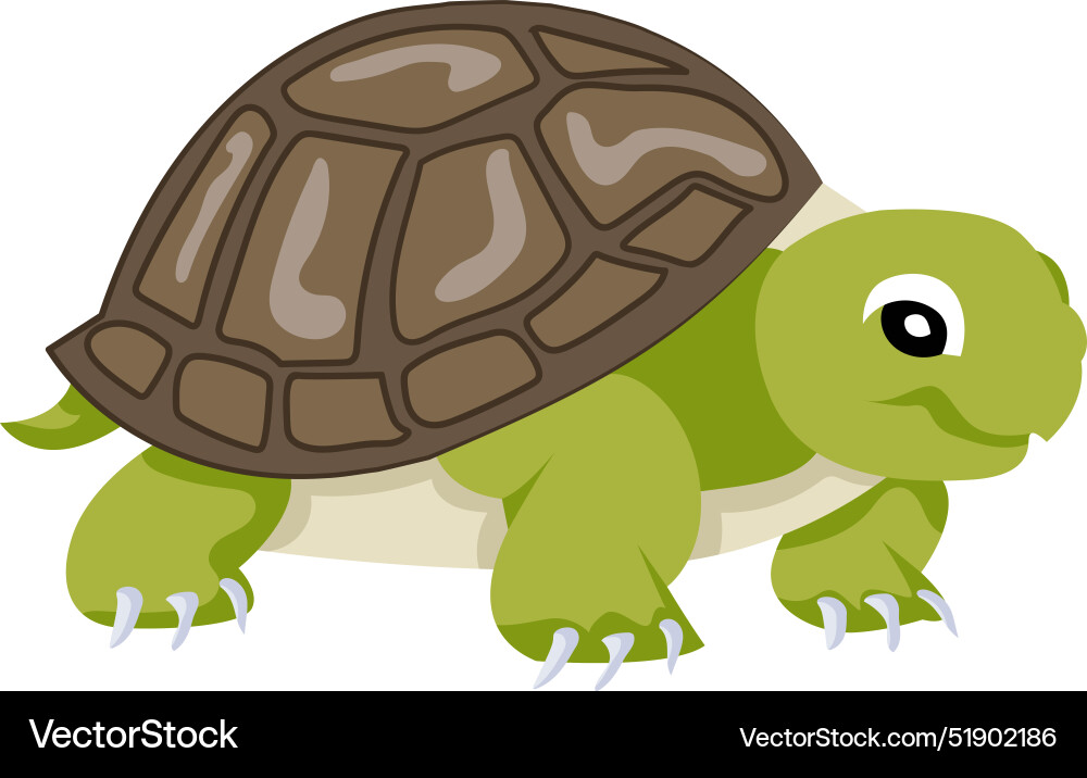 Webcommon tortoise icon in flat style Royalty Free Vector