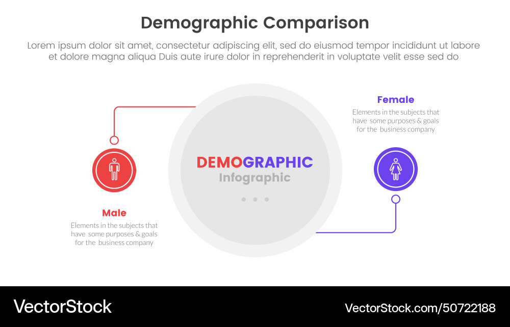 Demographic man vs woman comparison concept Vector Image
