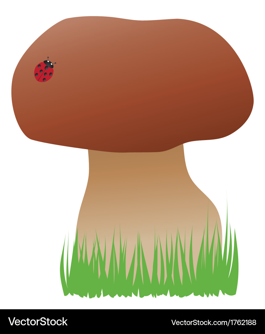 Mushroom Royalty Free Vector Image - VectorStock