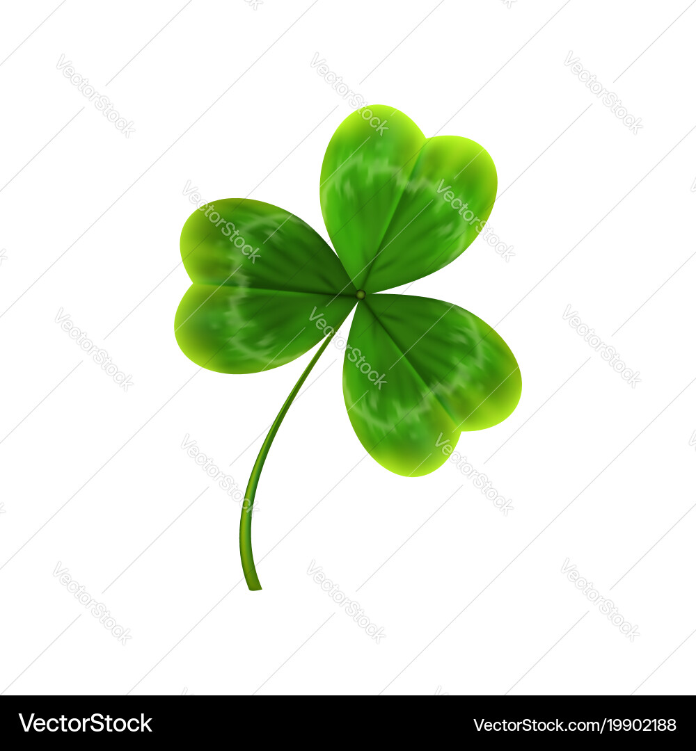 Realistic Clover Leaf Royalty Free Vector Image