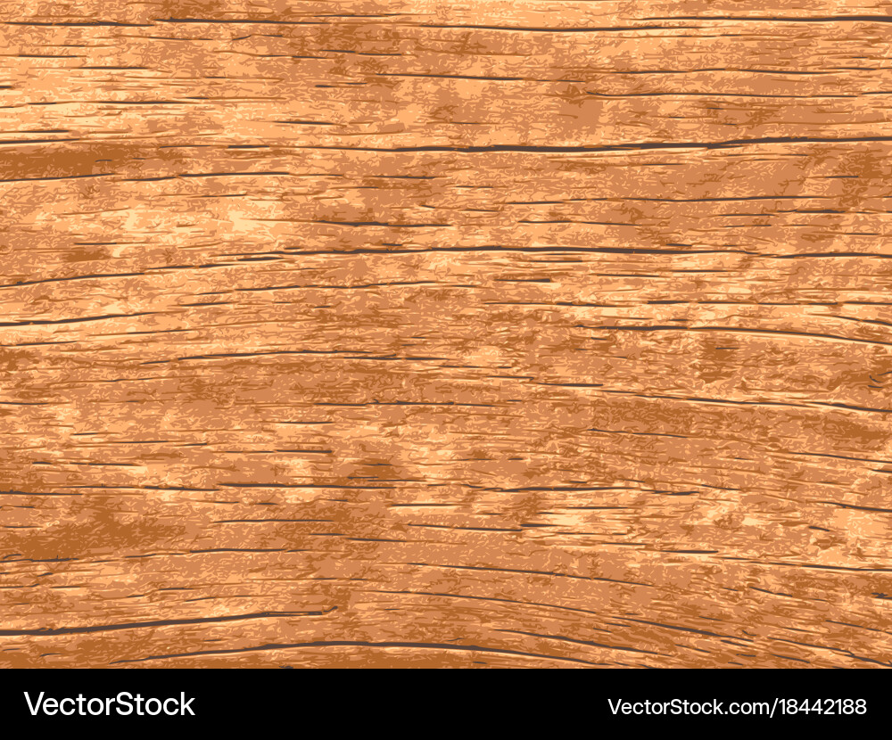 Rustic Wood Plank Texture Royalty Free Vector Image