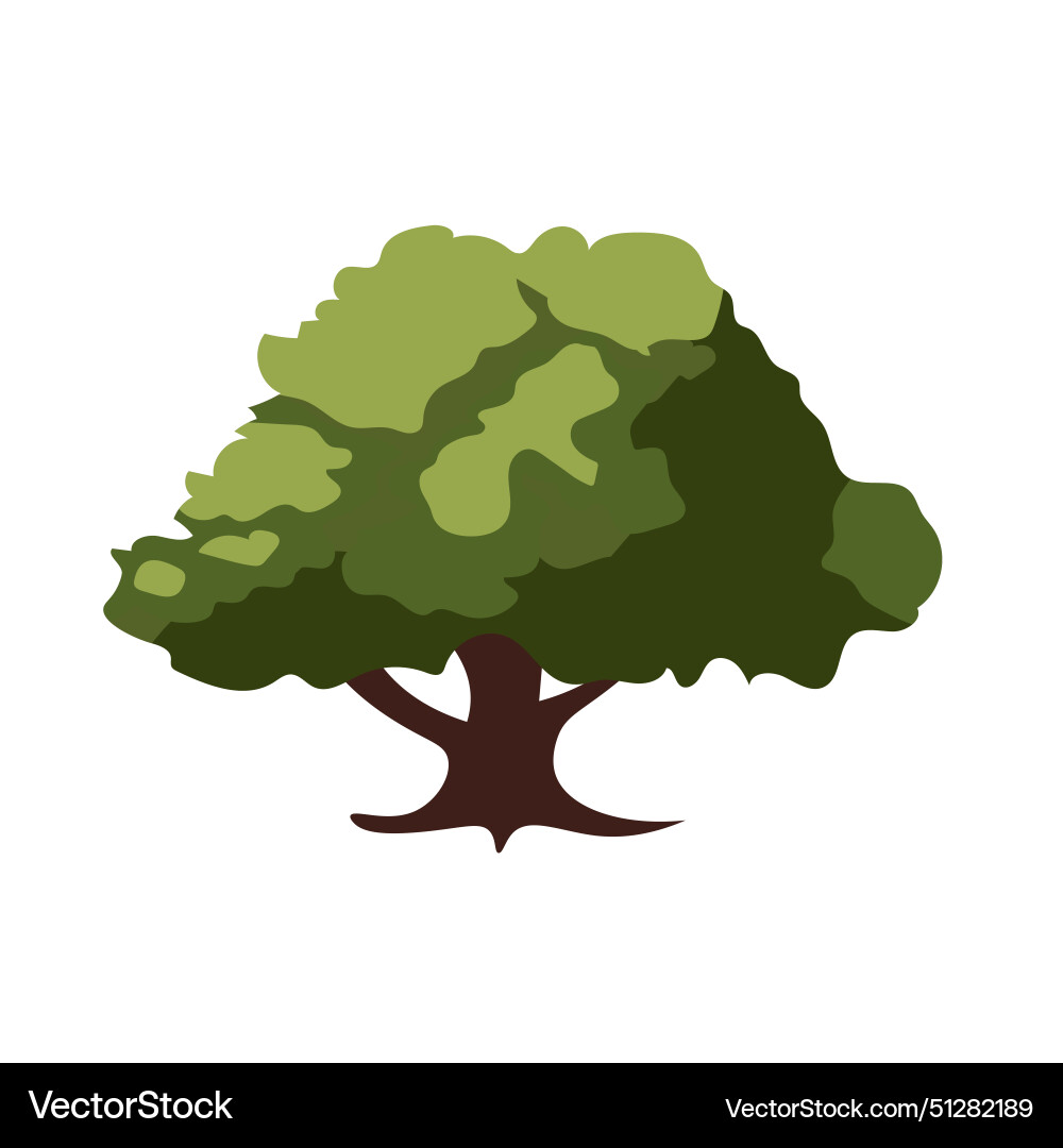 Cartoon oak tree with green leaves pohon ek Vector Image