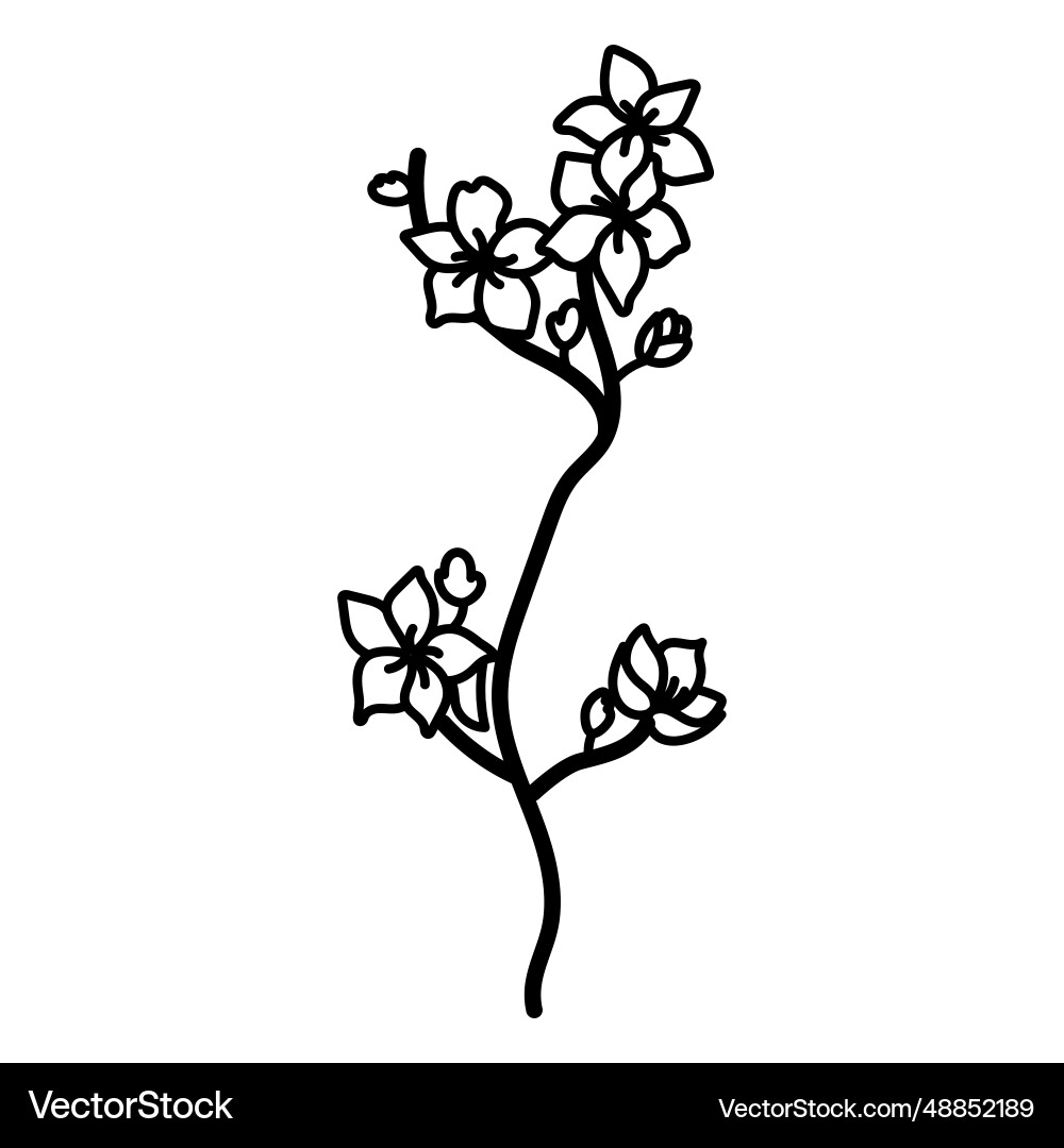 Forget me not flowers stroke Royalty Free Vector Image