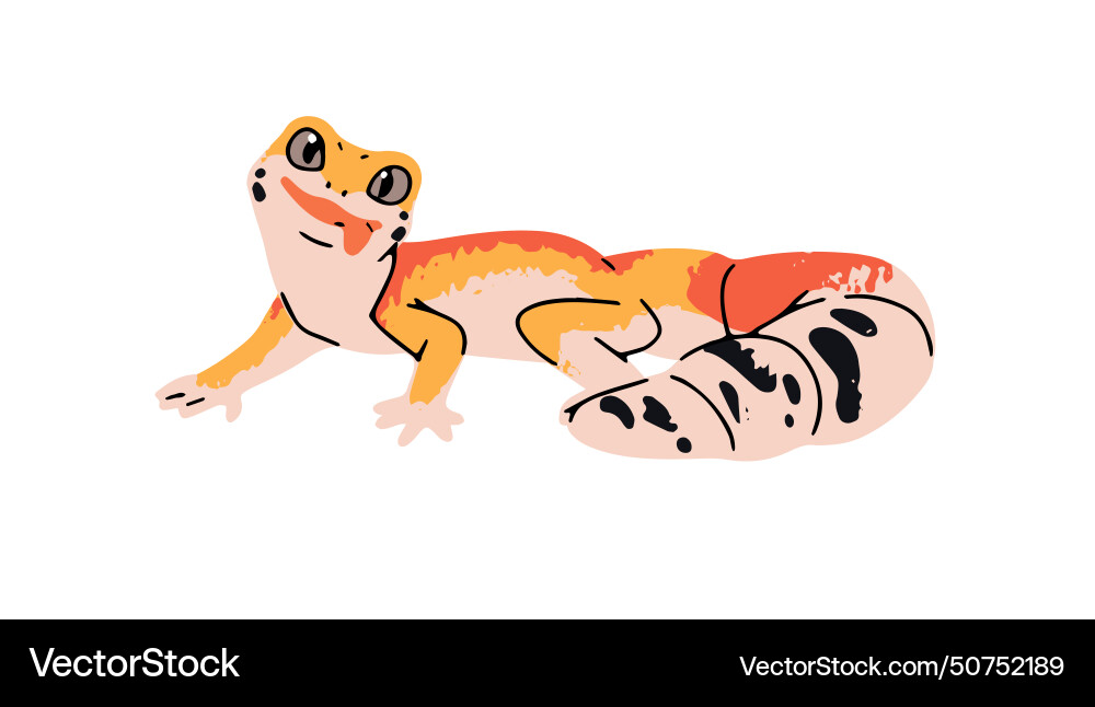 Leopard gecko with colourful patterned skin cute Vector Image