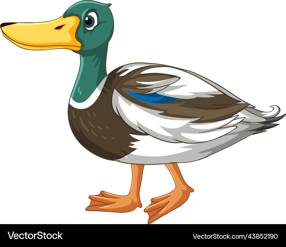 Cute duck cartoon character on white background Vector Image