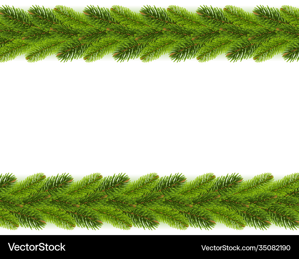 Green fir tree branches borders Royalty Free Vector Image
