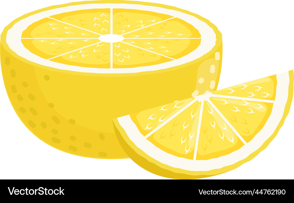 Lemon half cut with fruit slice sour citrus Vector Image