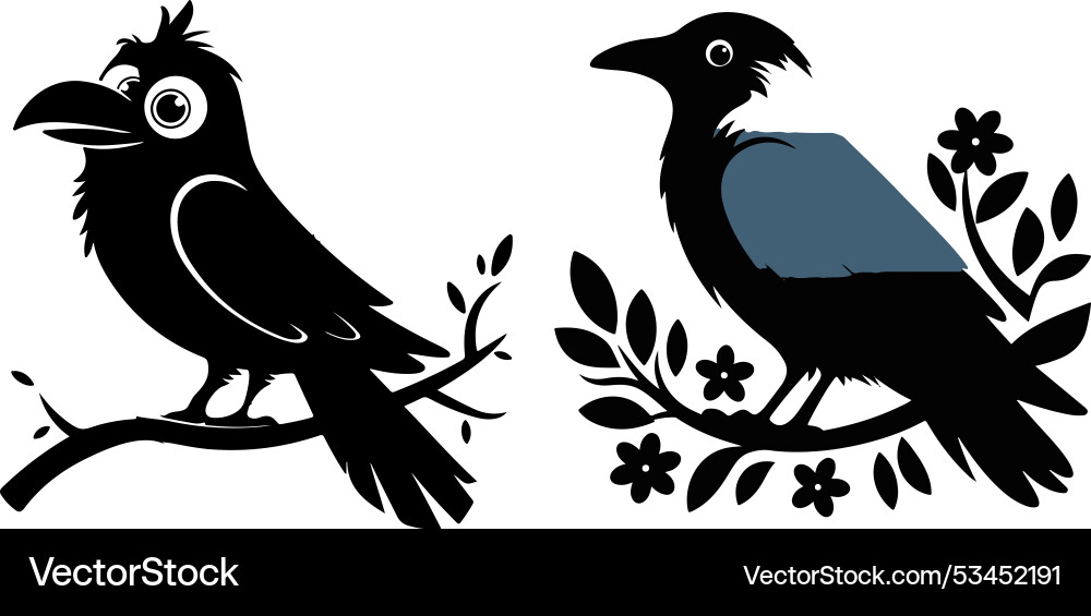 Isolated black silhouette bird crow colle Vector Image