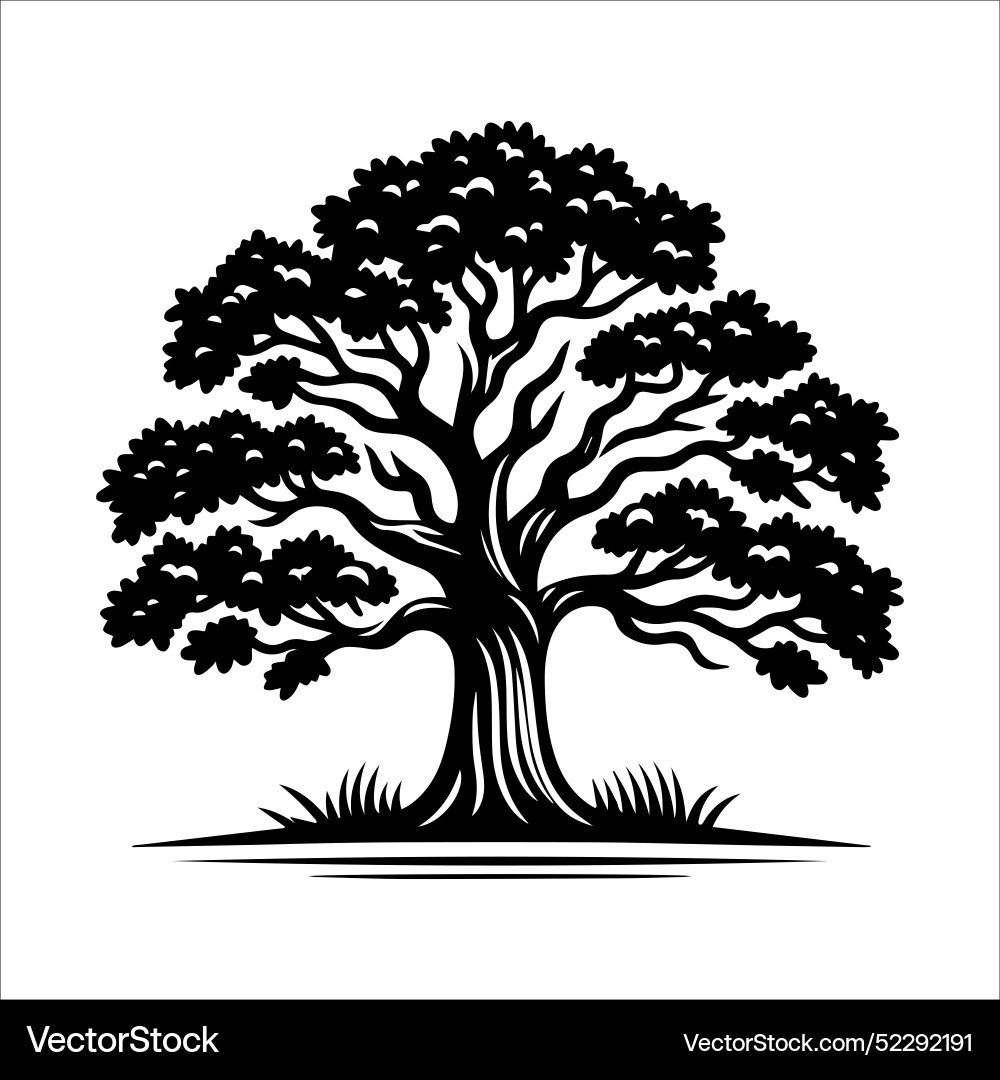 Oak tree silhouette Royalty Free Vector Image - VectorStock