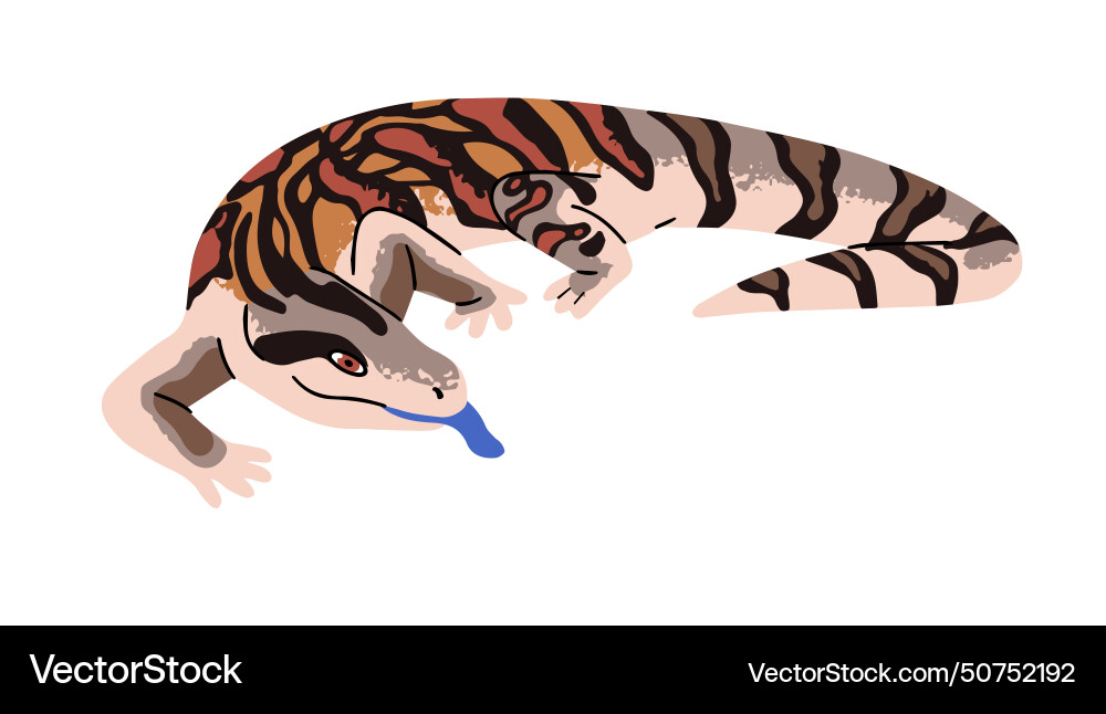 Blue tongued skink or lizard with patterned skin Vector Image