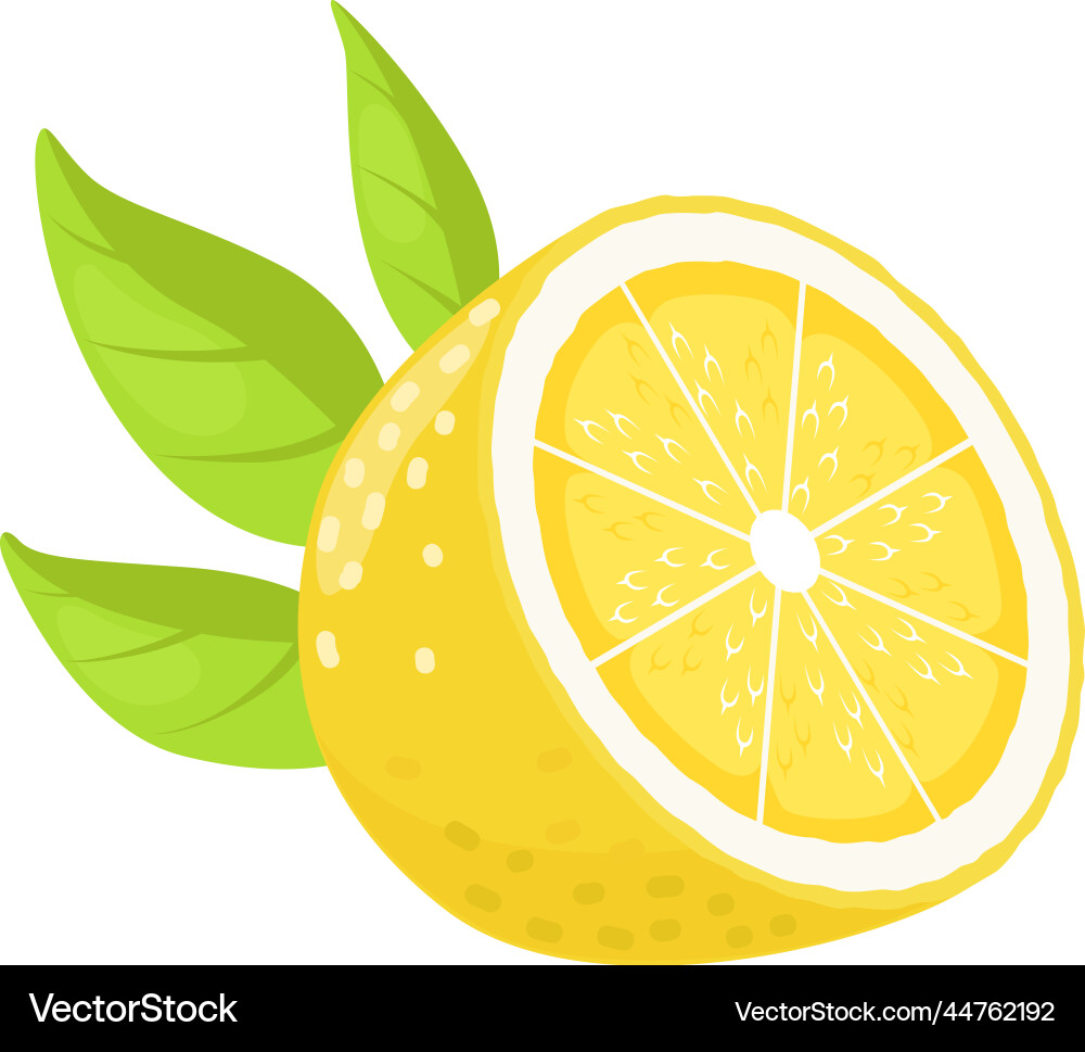 Half of lemon icon cartoon citrus fruit cut Vector Image