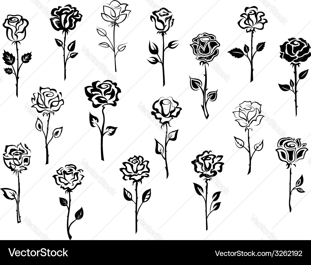 Set of rose icons Royalty Free Vector Image - VectorStock