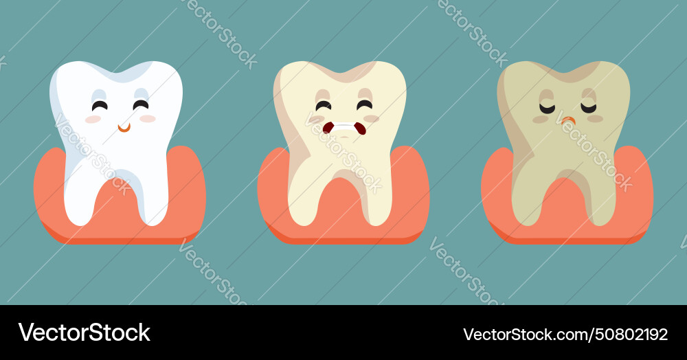 Tooth decay stages medial dental concept Vector Image