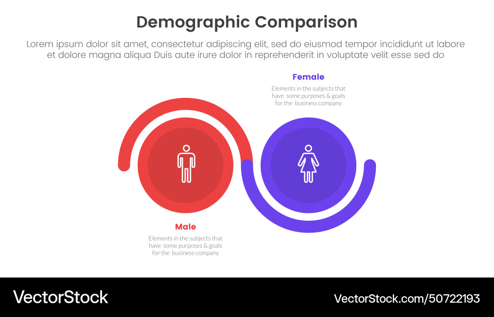 Demographic man vs woman comparison concept Vector Image