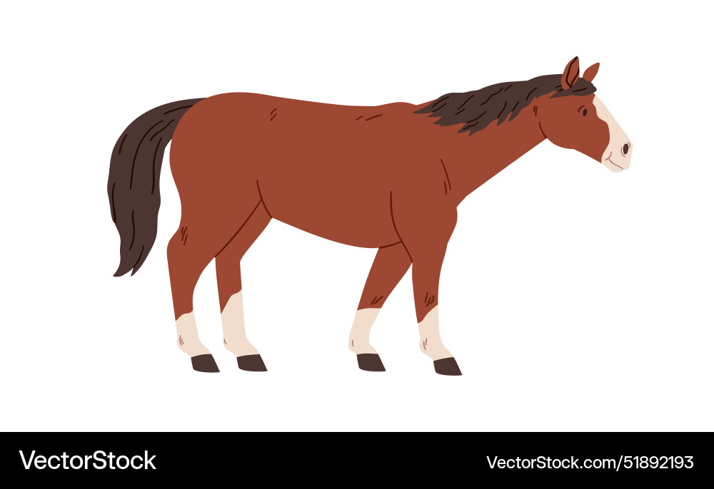 Draft work horse side view farm stallion Vector Image