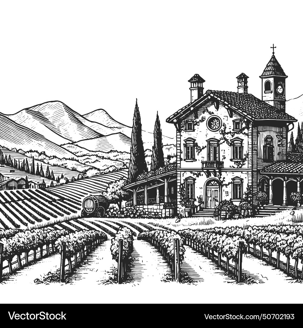 Engraved tuscan vineyard countryside villa Vector Image