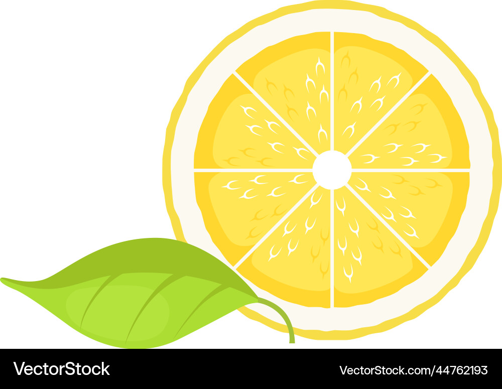 Ripe lemon slice fresh citrus sour fruit Vector Image