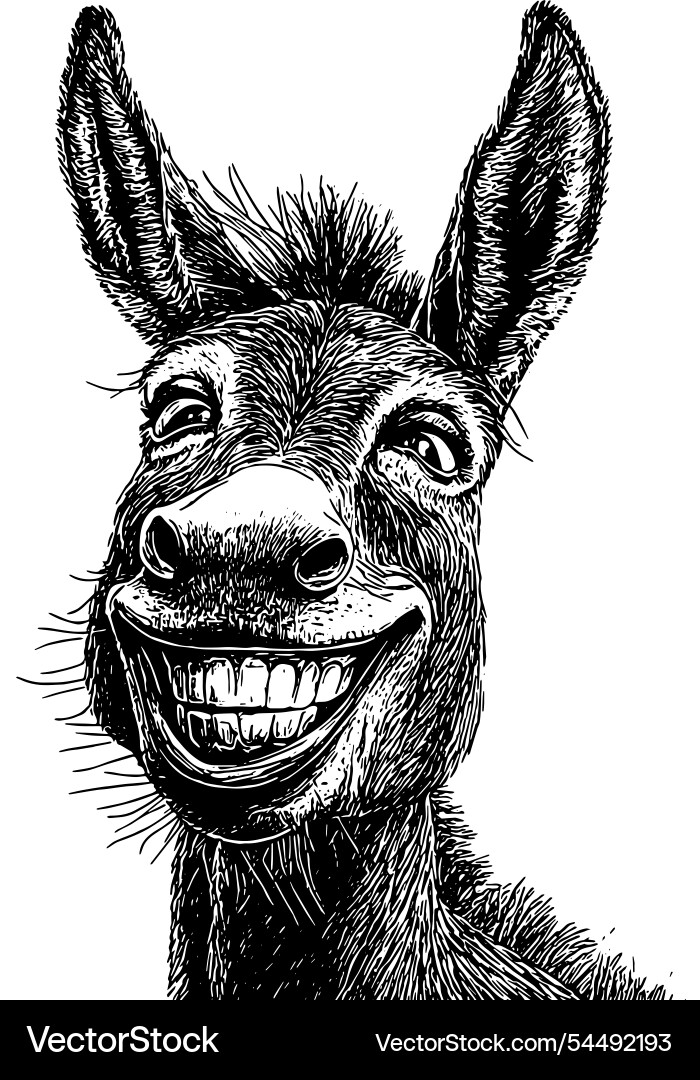 Smiling Cartoon Donkey Head Royalty Free Vector Image