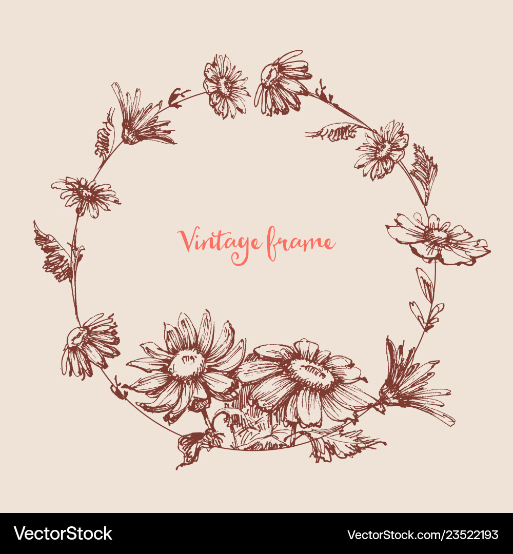 Wildflower Frame Vector Images (over 6,800)