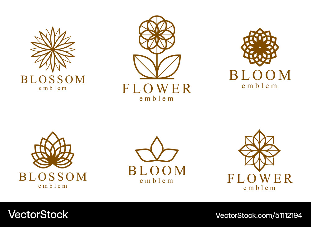 Beautiful geometric flower logos linear designs Vector Image