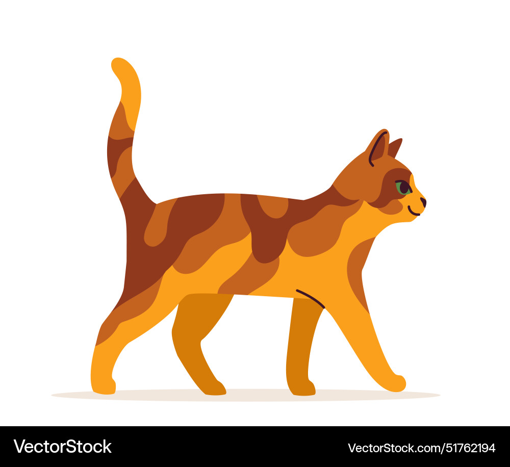 Cute cat concept Royalty Free Vector Image - VectorStock