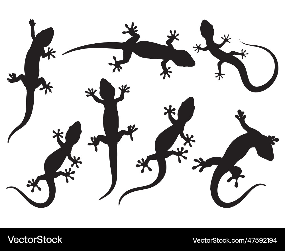 Gecko silhouette Royalty Free Vector Image - VectorStock