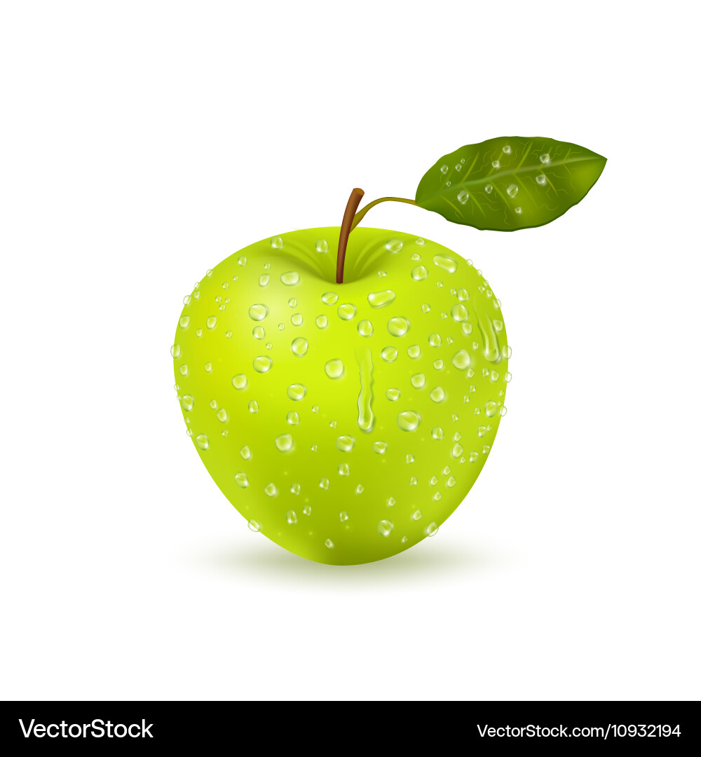 Isolated wet green apple with water drops Vector Image
