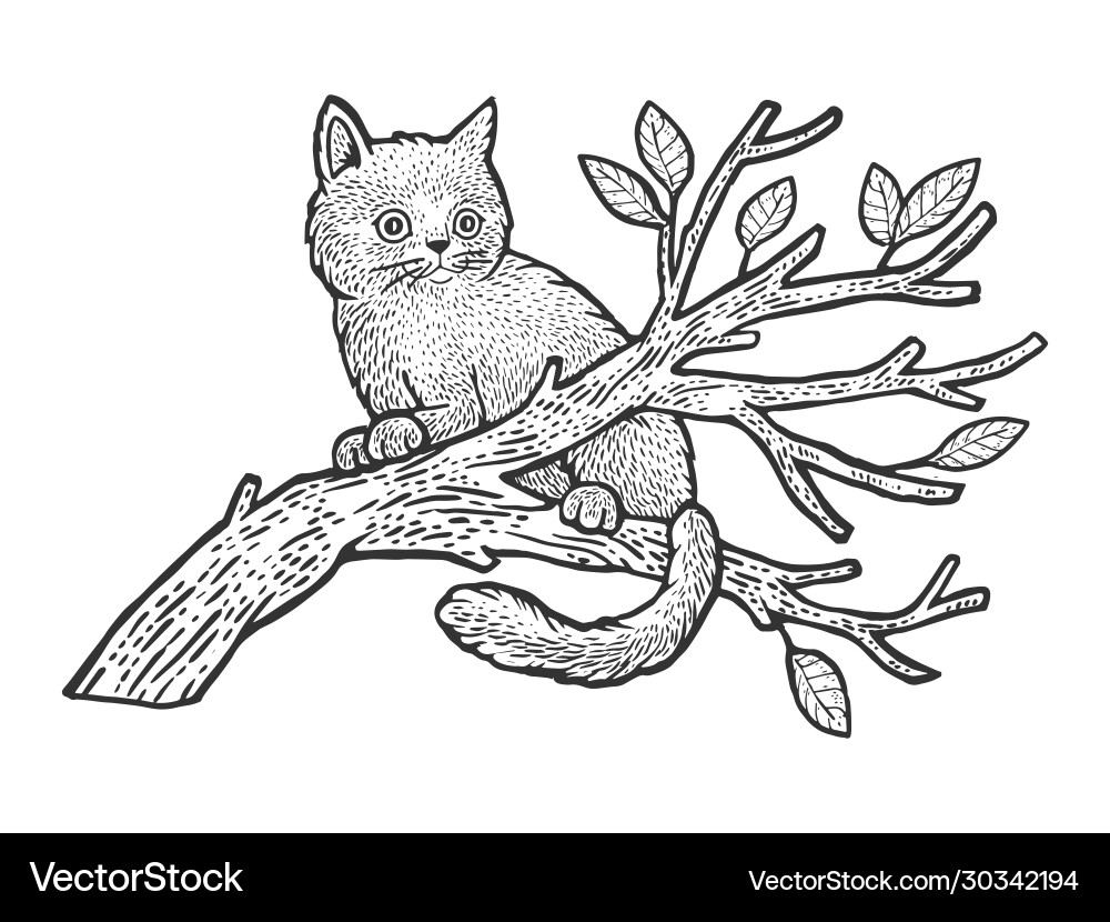 Kitten sits on a tree sketch Royalty Free Vector Image