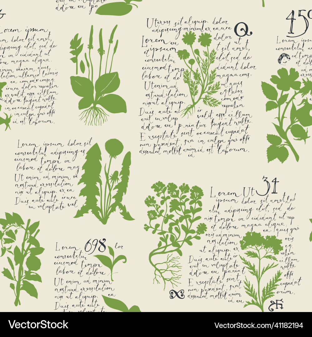 Medicinal Herbs Pattern Royalty Free Vector Image