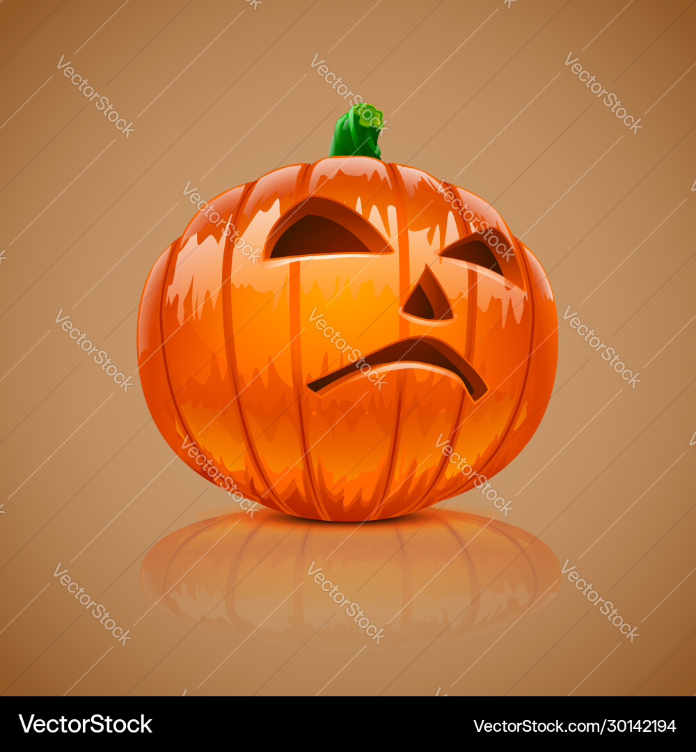 Realistic pumpkin with shadow and reflect Vector Image