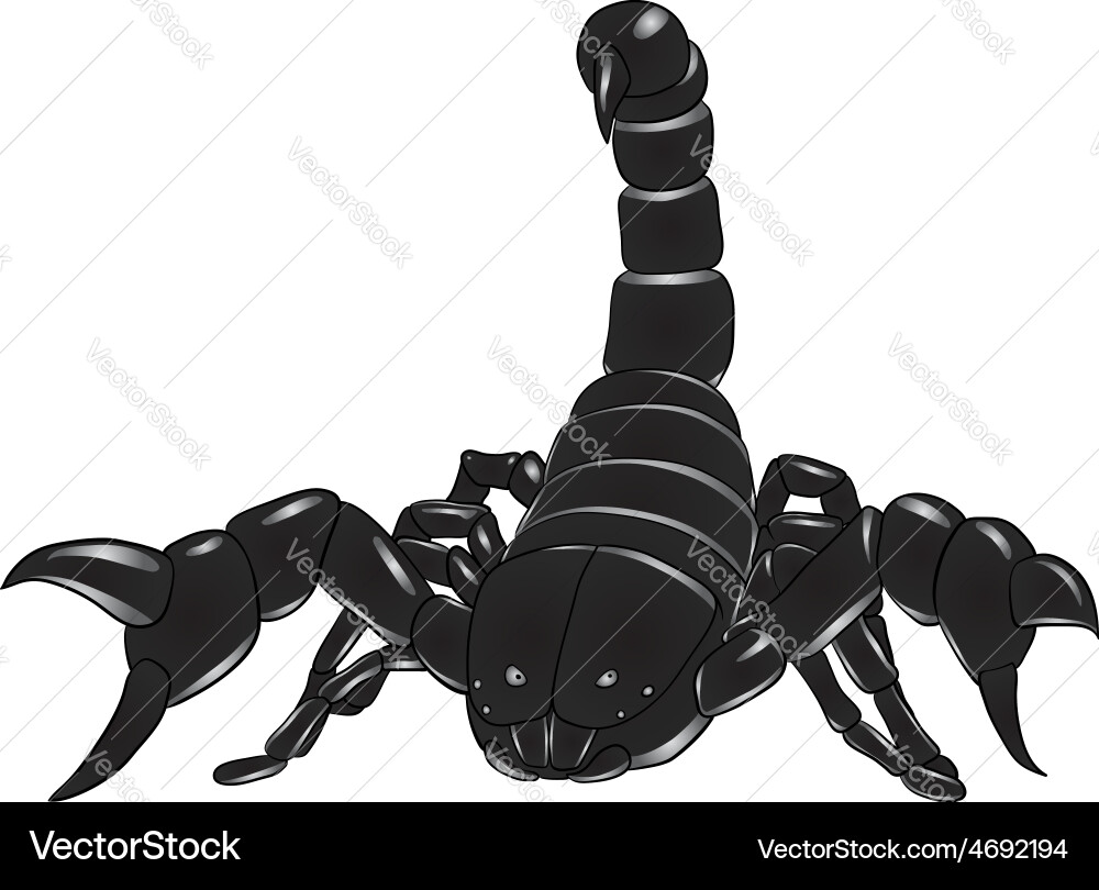 Scorpion Royalty Free Vector Image - VectorStock