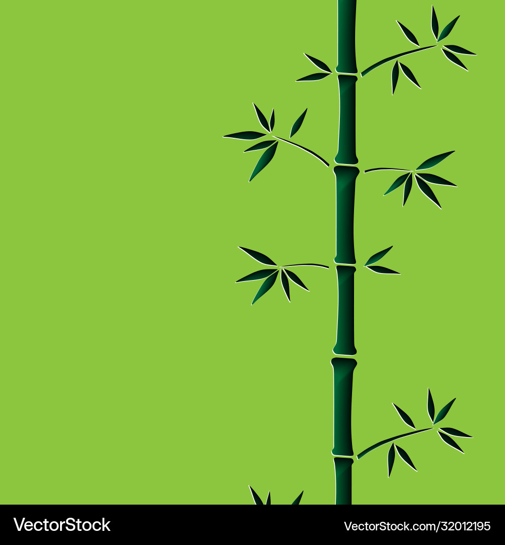 Bamboo Royalty Free Vector Image - VectorStock
