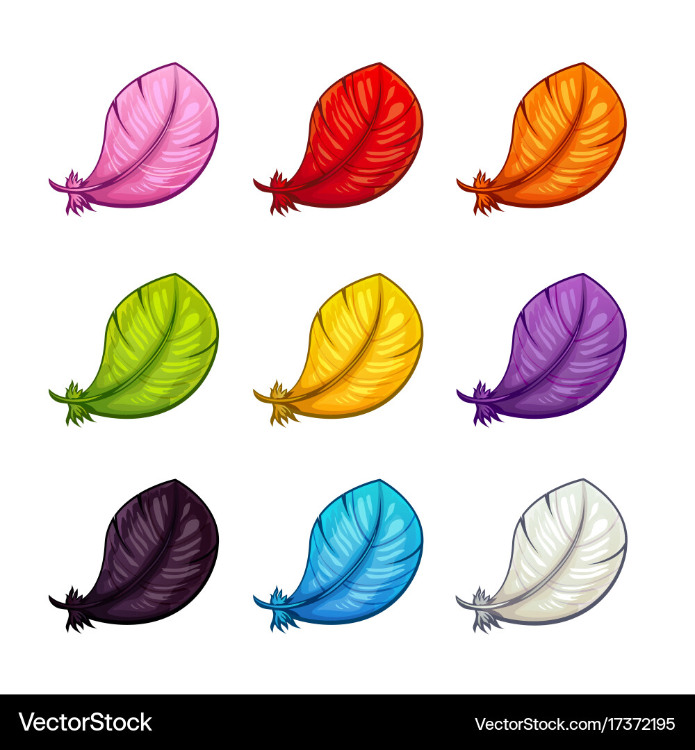 Cartoon colorful feather icons set Royalty Free Vector Image