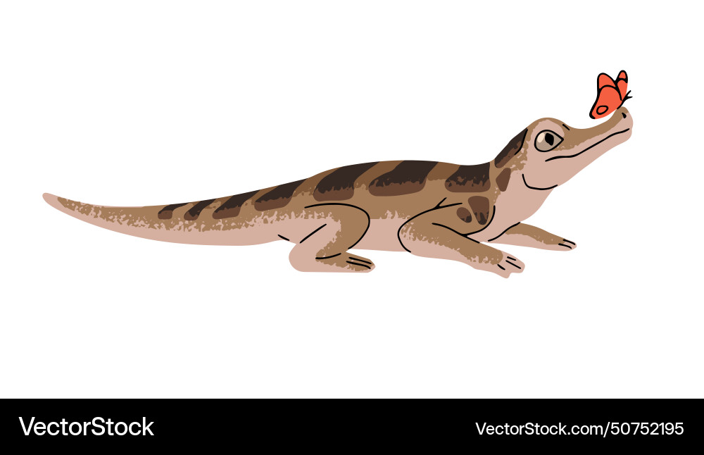 Cute little caiman with butterfly dwarf crocodile Vector Image