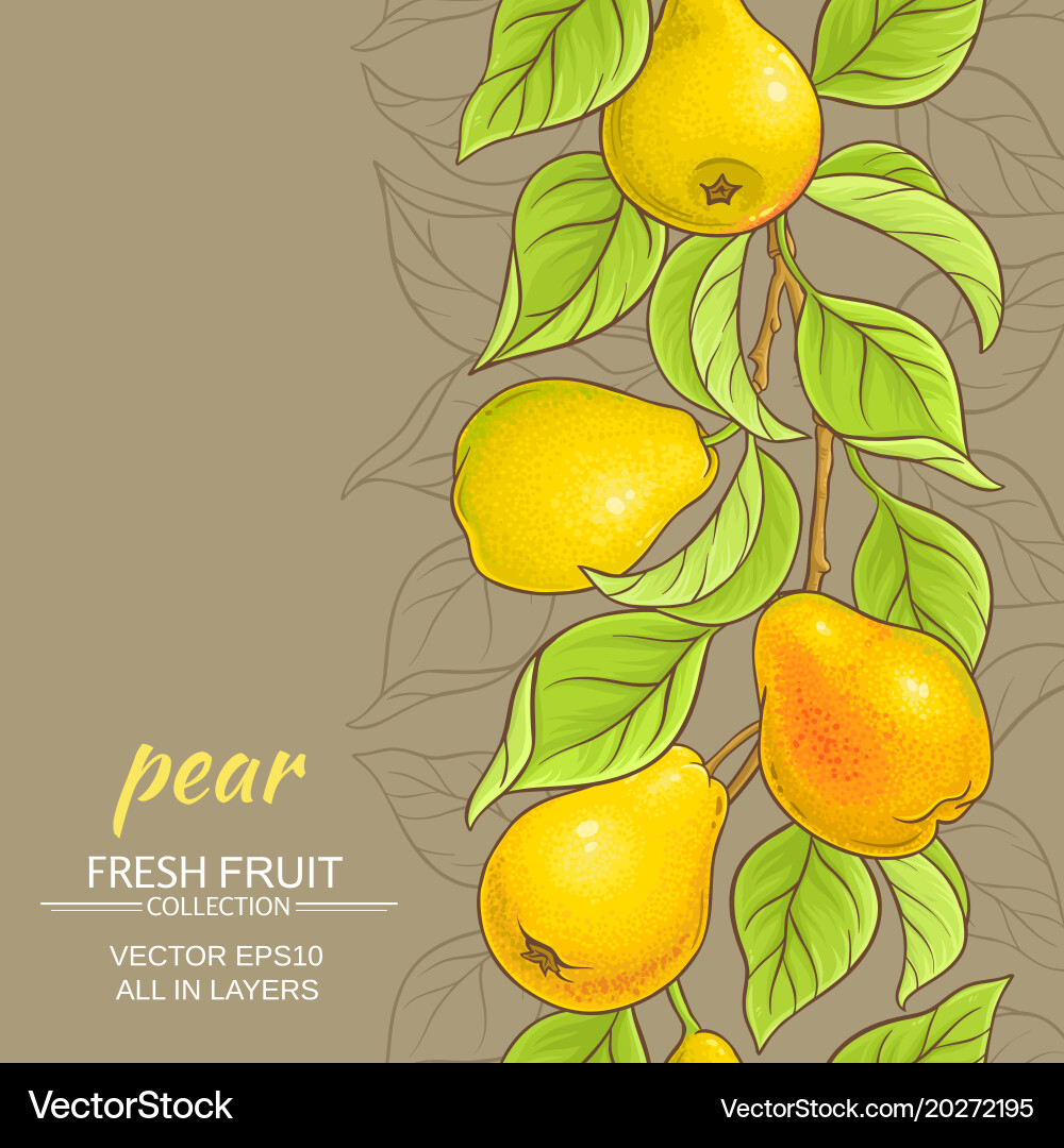 Pear background Royalty Free Vector Image - VectorStock