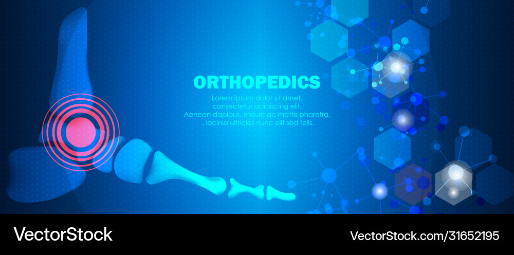 Science foot bone Royalty Free Vector Image - VectorStock