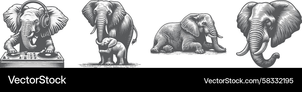 Vintage Elephant Family Royalty Free Vector Image