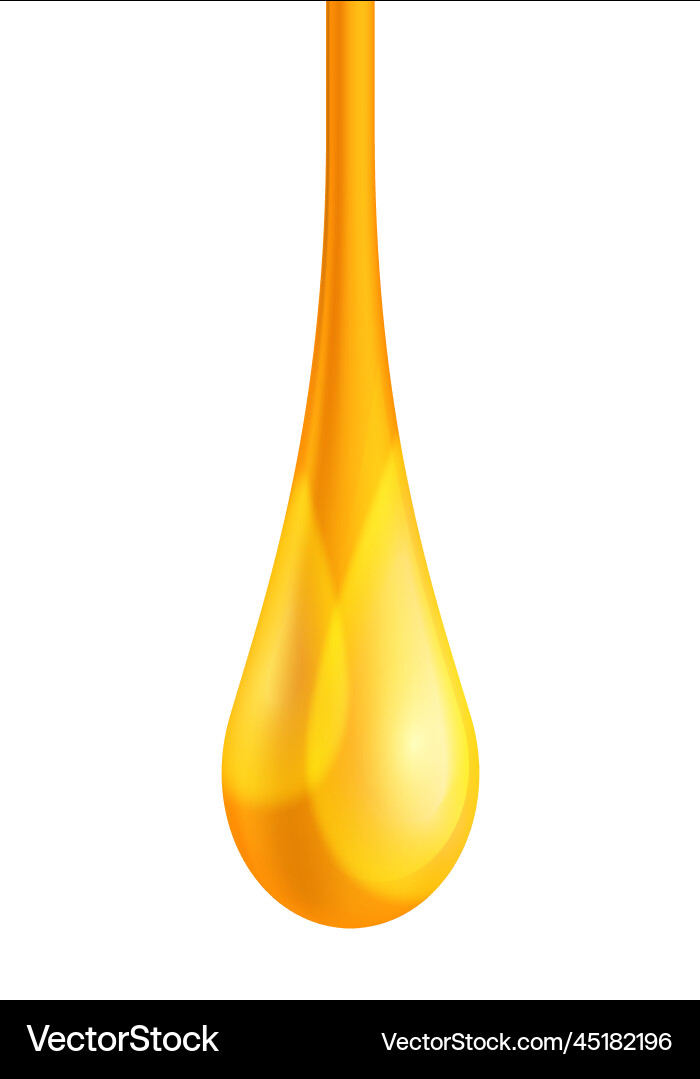 Honey drop realistic composition Royalty Free Vector Image